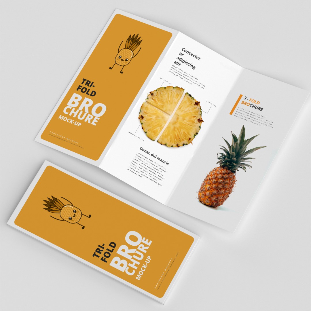 Custom Brochures | Anything2Print