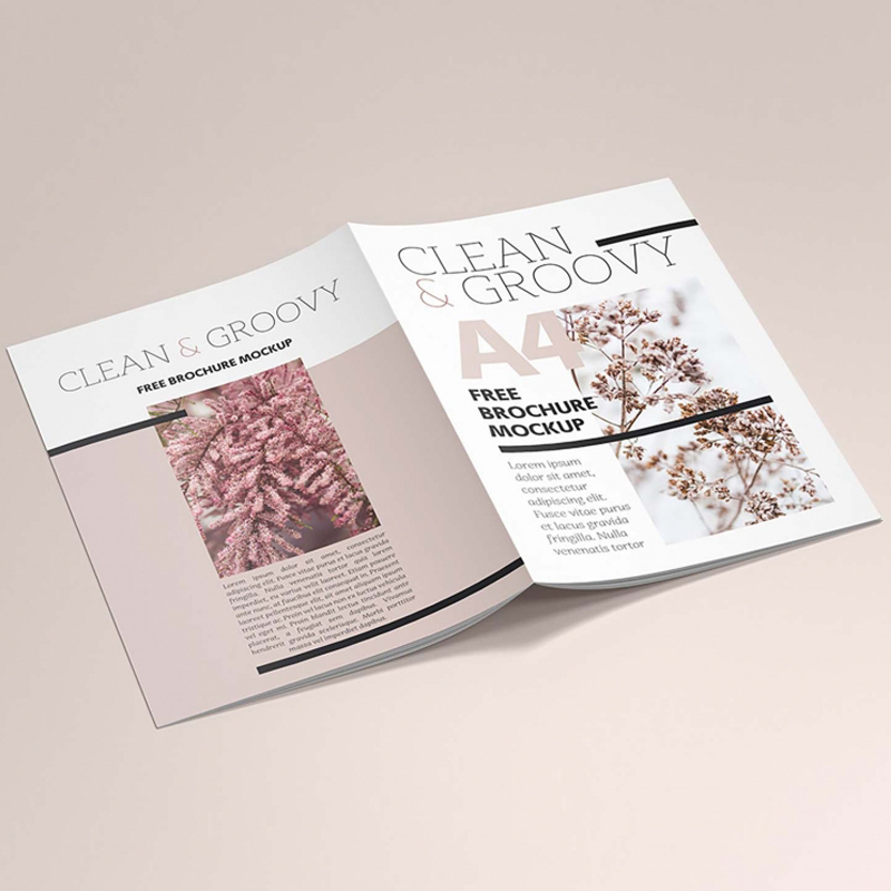 Catalog Printing Dubai Premium Product & Company Catalogs | Instaprint