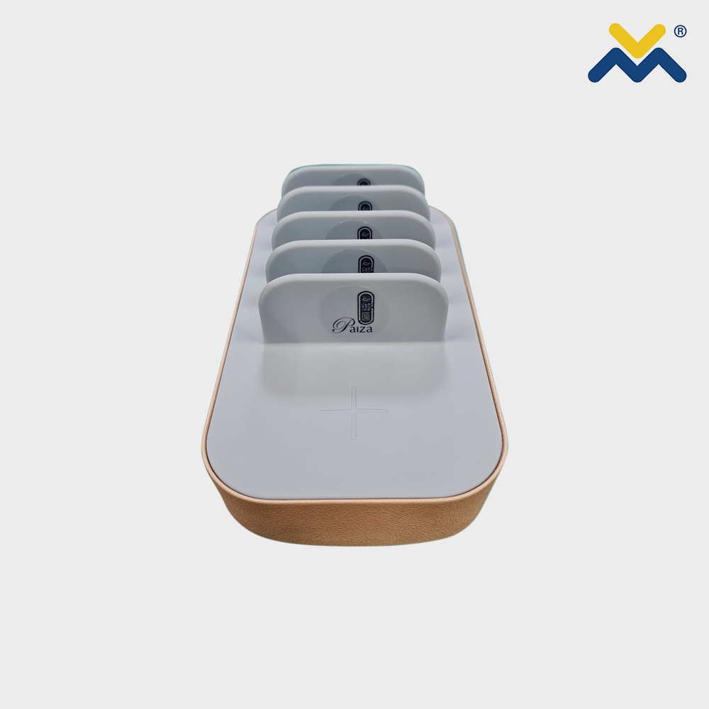 Paiza Charging Dock Wrap